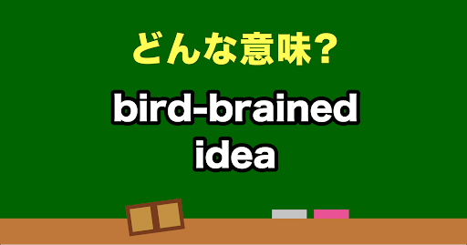 “bird-brained idea”はどんな意味？わかったらスゴい英会話、正解は？ | TRILL【トリル】