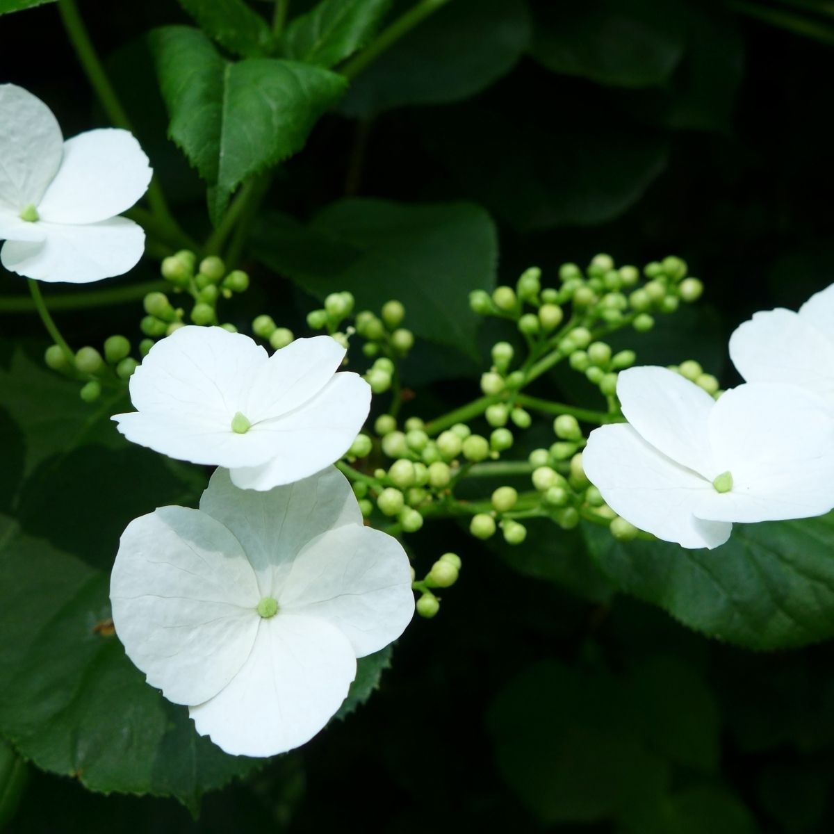 タイパって必要ですか？ メイクアップアーティスト吉川康雄「世界はキレイでできている」Vol.37 | TRILL【トリル】