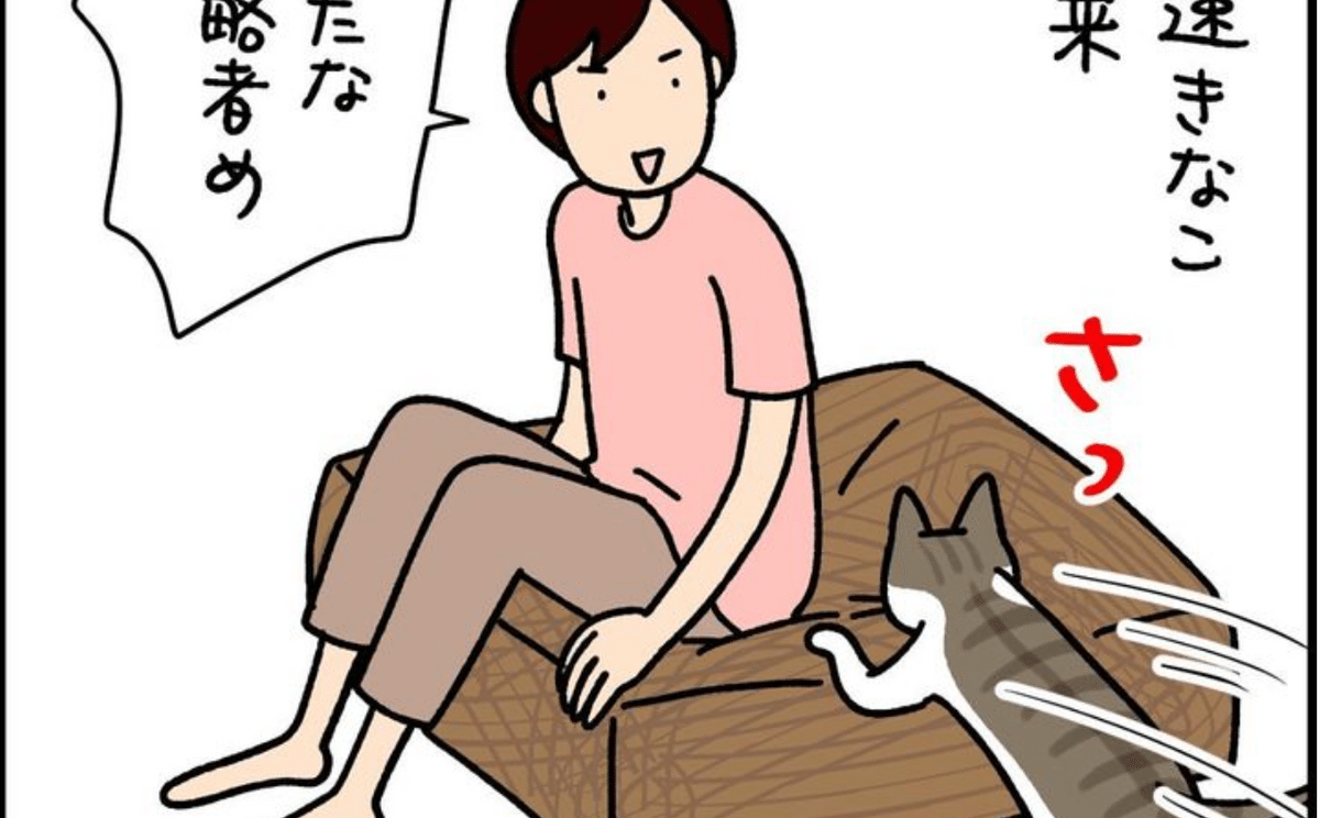 「クッションになる収納袋」を購入すると…“想定外の事件”に絶叫！ | TRILL【トリル】