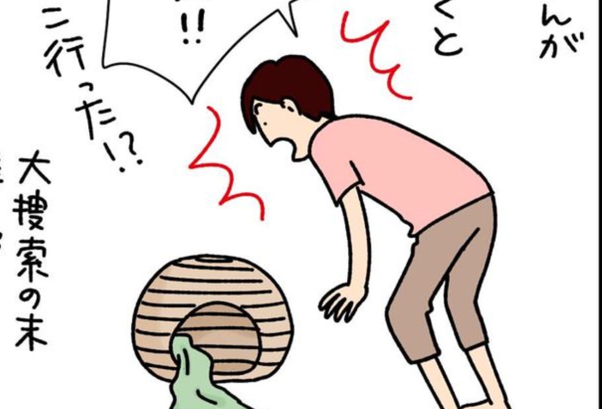 前世は忍者？ エアコンクリーニング業者にビビる飼い猫が“身を潜めていた場所”に仰天！ | TRILL【トリル】