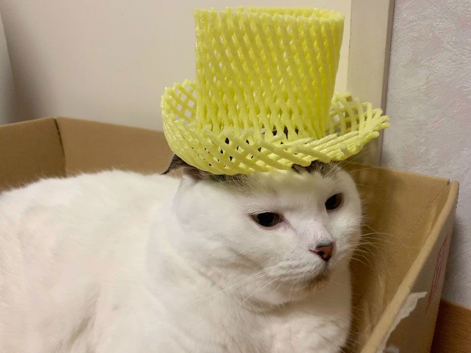 使い道、合ってる？【いなほ、オレ物語。vol.146】 | TRILL【トリル】