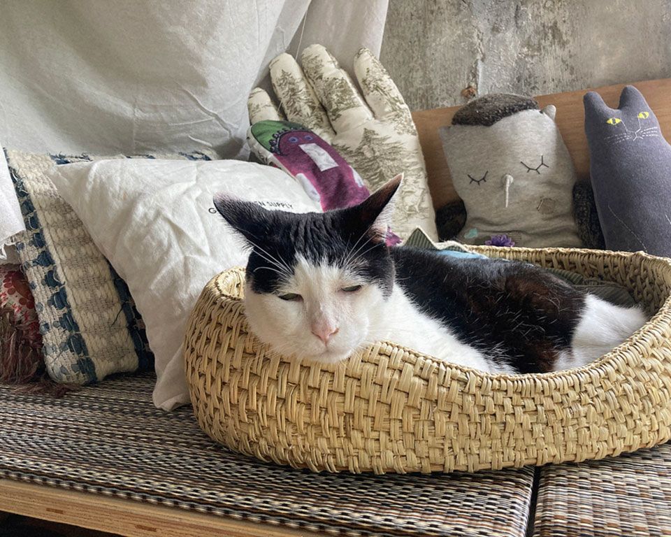 良い睡眠には、良い寝具を。【ナイスミドルパンチョの渋々雑記。vol.73】 | TRILL【トリル】