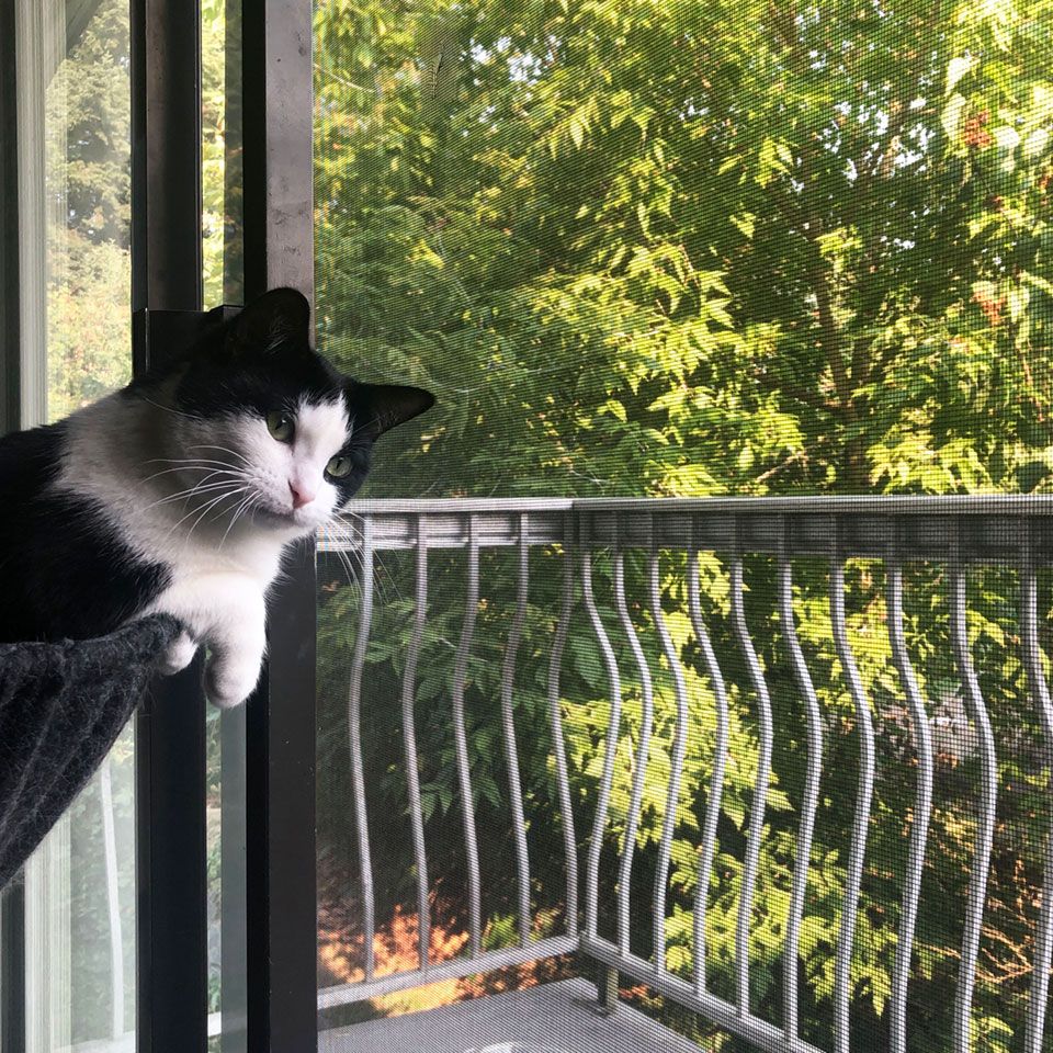 今日は誰が来るかな〜。【おちゃめMaruのカナダ生活。 vol.2】 | TRILL【トリル】