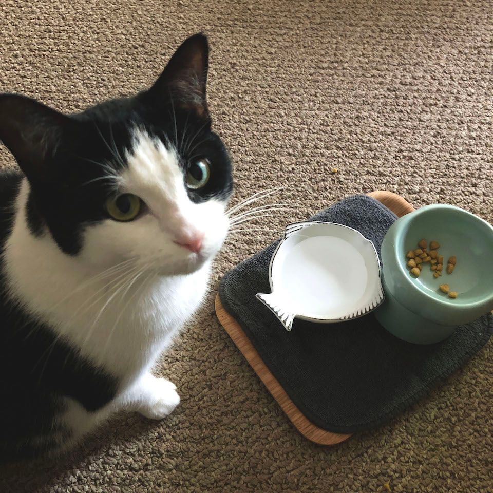 食べさせてもらっちゃお。【おちゃめMaruのカナダ生活。 vol.4】 | TRILL【トリル】