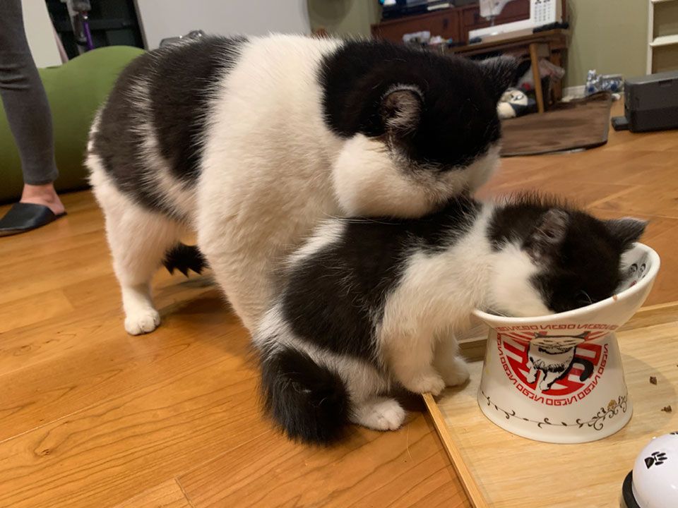 娘をスンスン。【おちょこ、ぽのぽのだより。vol.123】 | TRILL【トリル】