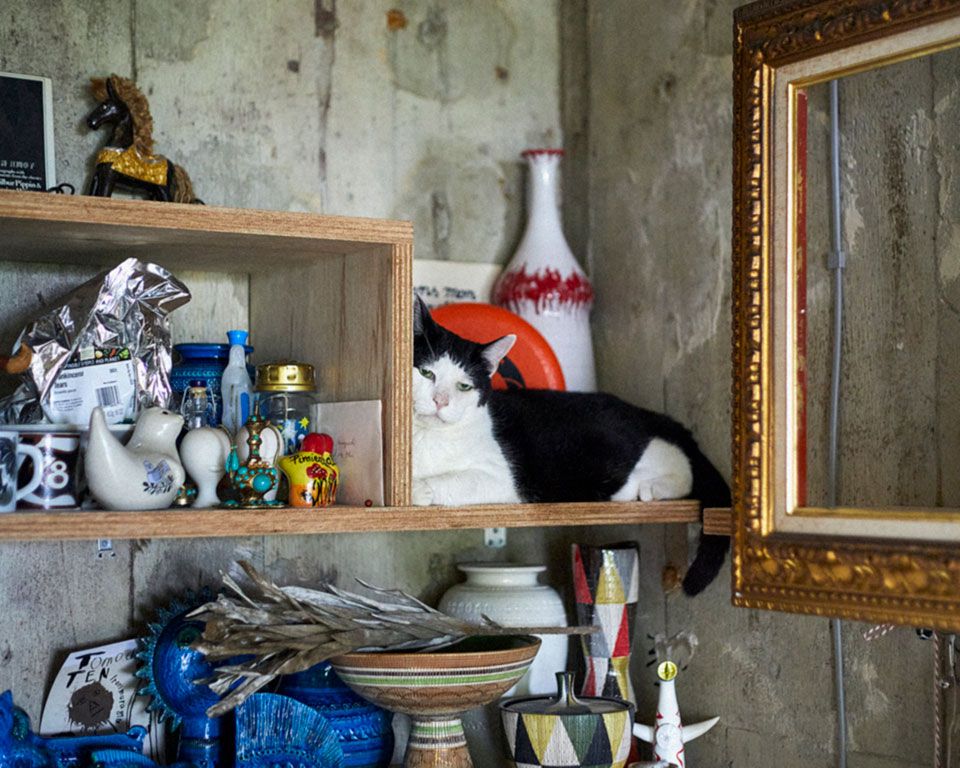 ルックアットミー！【ナイスミドルパンチョの渋々雑記。vol.75】 | TRILL【トリル】