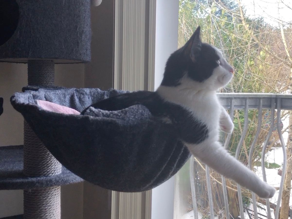 マミーも入りたいって？【おちゃめMaruのカナダ生活。 vol.13】 | TRILL【トリル】