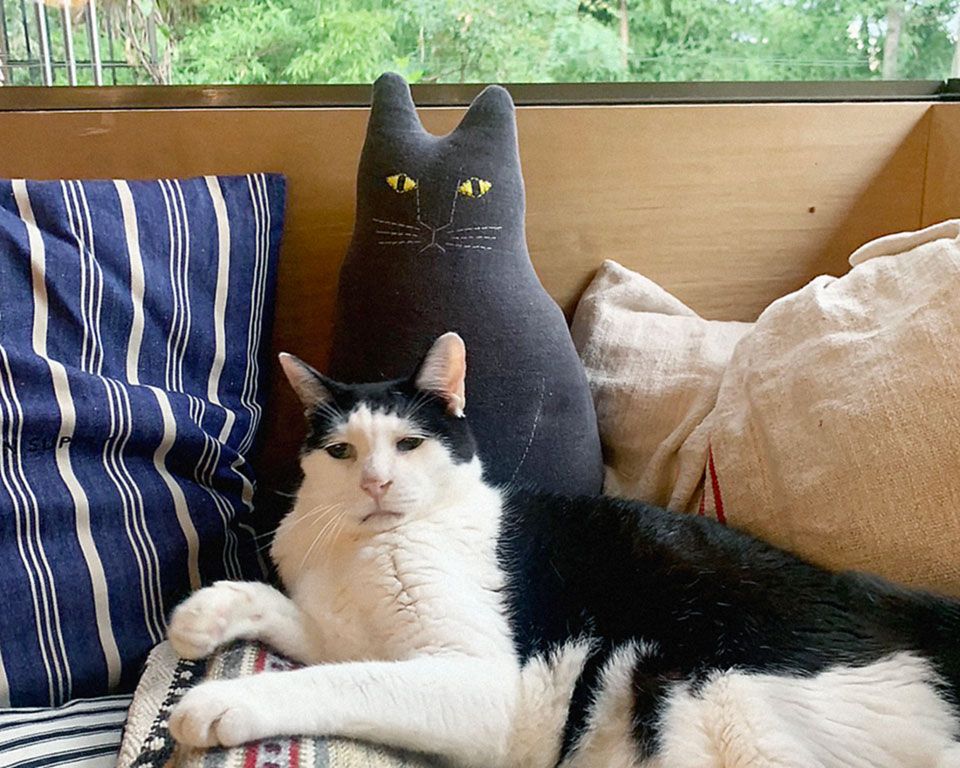 人気者の宿命。【ナイスミドルパンチョの渋々雑記。vol.76】 | TRILL【トリル】