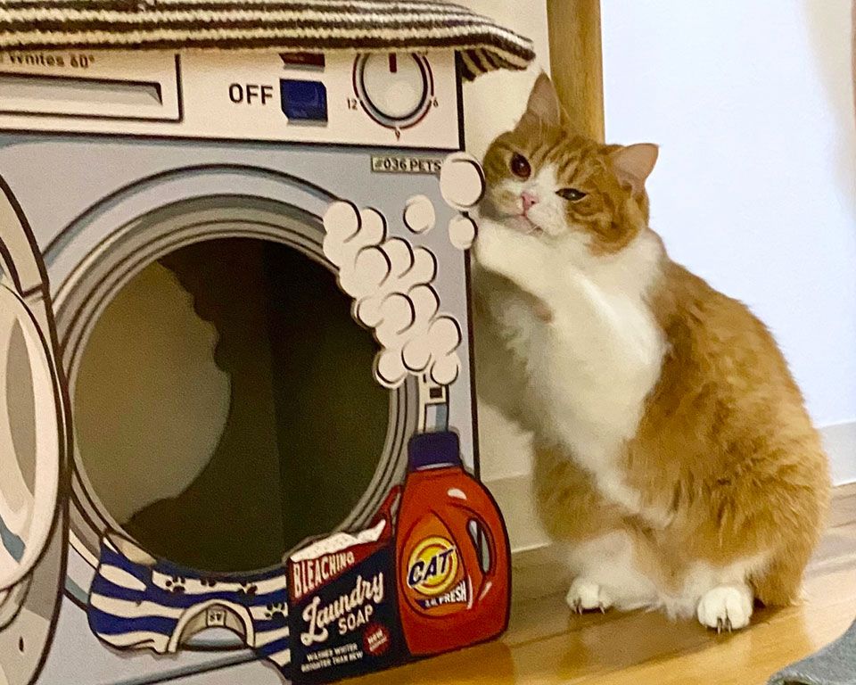 シュンとした時は。【とろろ、もふもふDays。vol.47】 | TRILL【トリル】