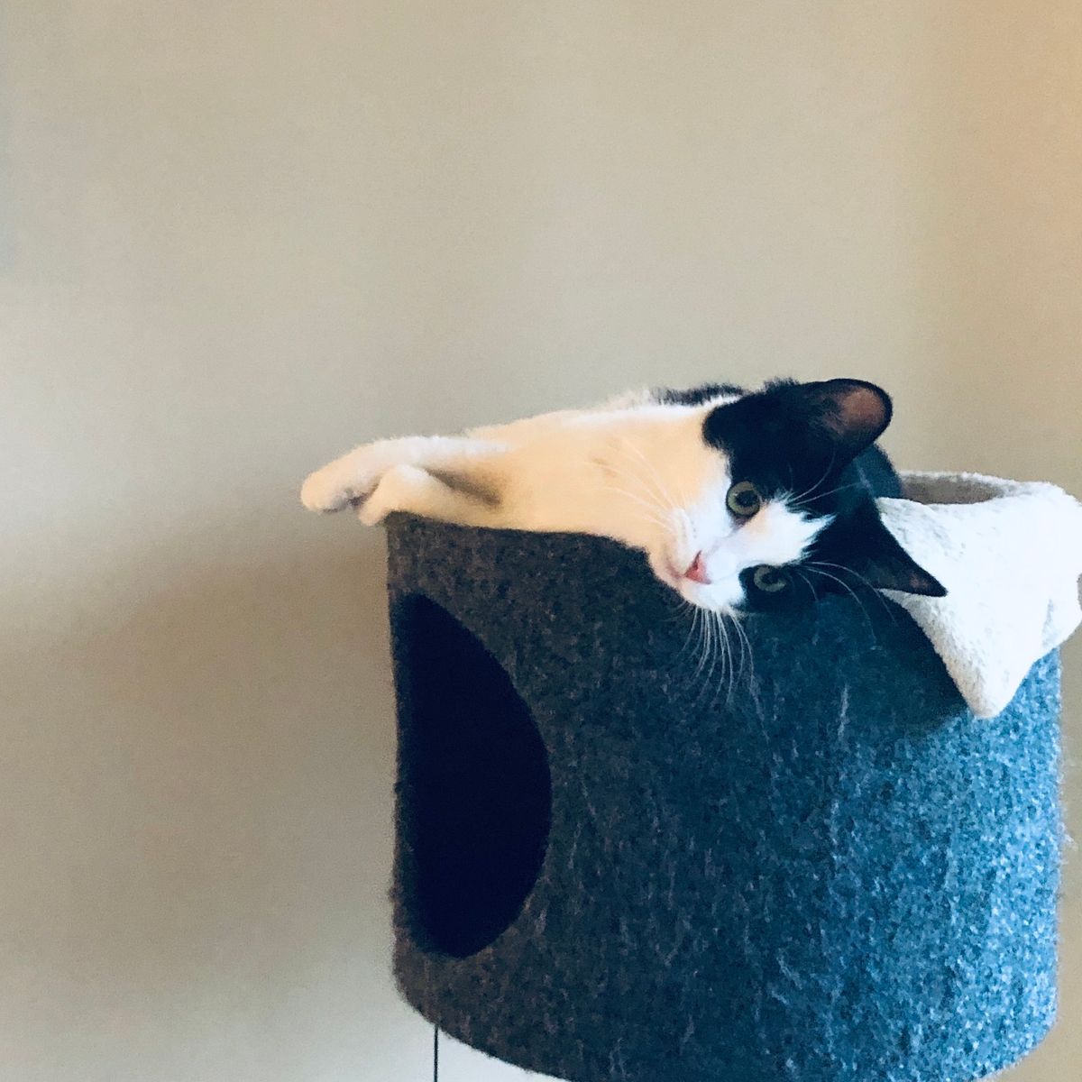 似てる？【おちゃめMaruのカナダ生活。 vol.16】 | TRILL【トリル】