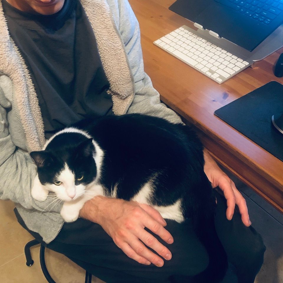 ダディが仕事中でも。【おちゃめMaruのカナダ生活。 vol.17】 | TRILL【トリル】