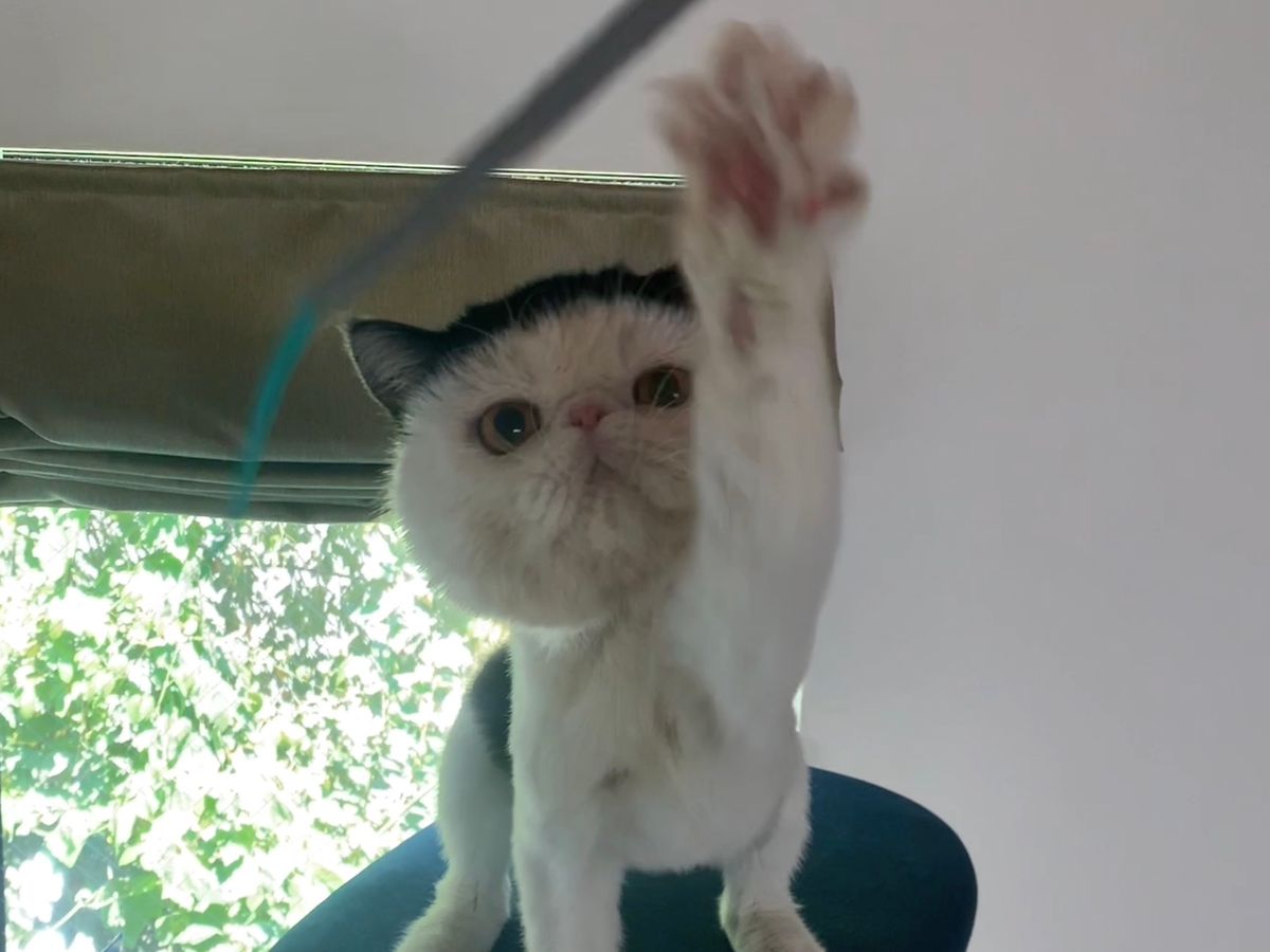 おとうちゃんを見習って。【おちょこ、ぽのぽのだより。vol.125】 | TRILL【トリル】