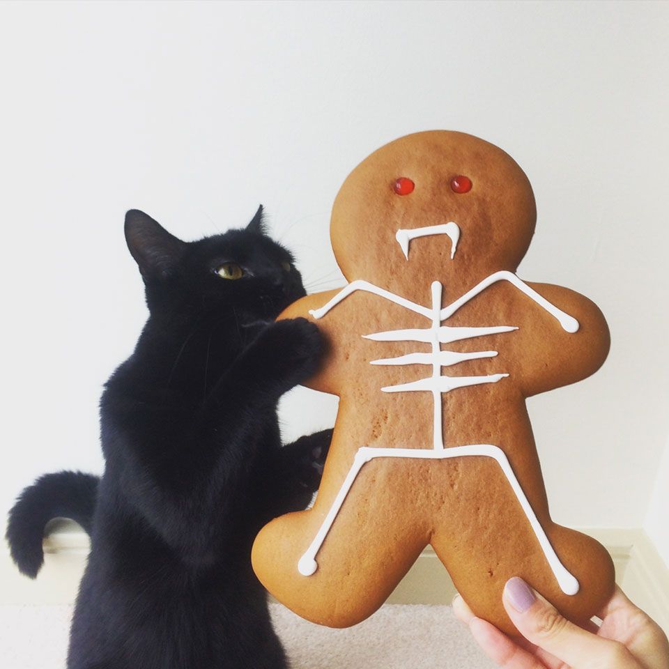 この子は、誰だ！？【黒猫ギネスと茶トラのピムス。仲良し兄弟のベターライフ日記。vol.91】 | TRILL【トリル】