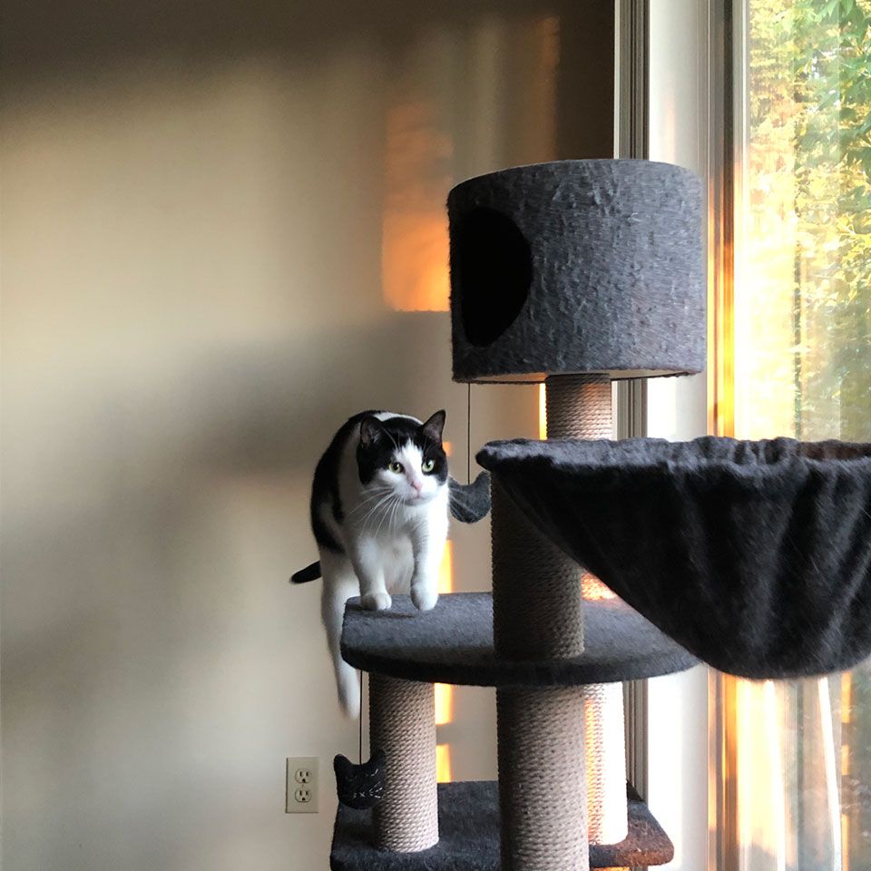 夕暮れ時に。【おちゃめMaruのカナダ生活。 vol.28】 | TRILL【トリル】