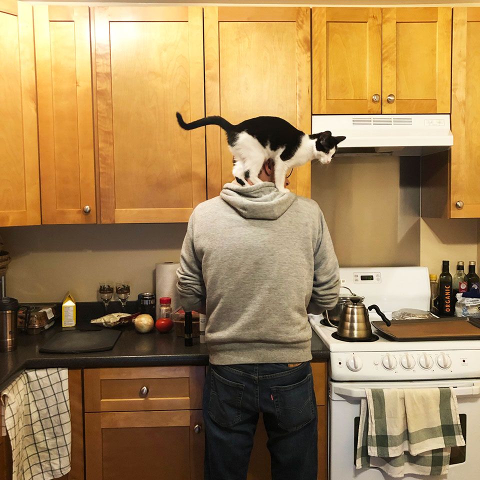 今日もダディの肩の上。【おちゃめMaruのカナダ生活。 vol.29】 | TRILL【トリル】