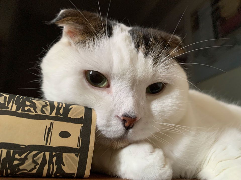 俺のまくら。【いなほ、オレ物語。vol.152】 | TRILL【トリル】