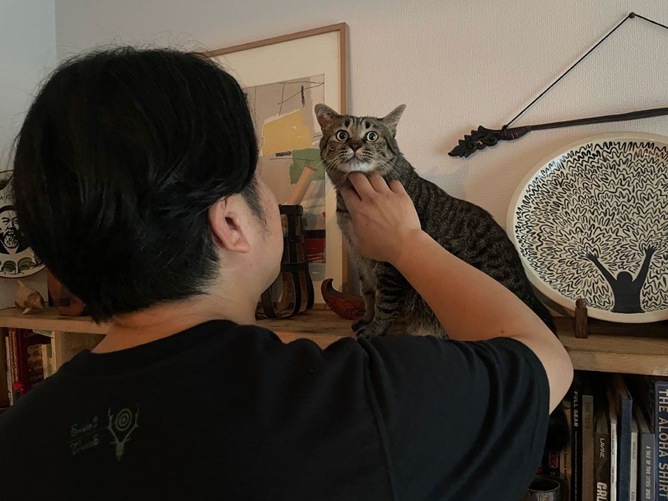 ナデナデがしつこいときは。【ぽっちゃり猫、れみのピースフル記。vol.12】 | TRILL【トリル】