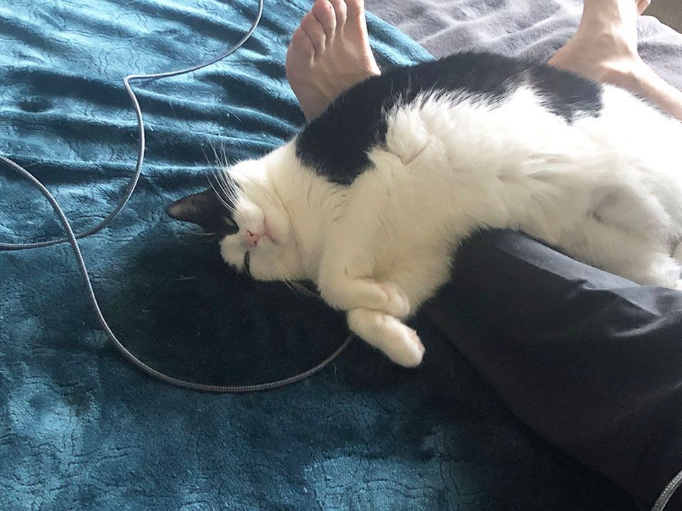 こんな体勢でもへっちゃらよ。【おちゃめMaruのカナダ生活。 vol.33】 | TRILL【トリル】