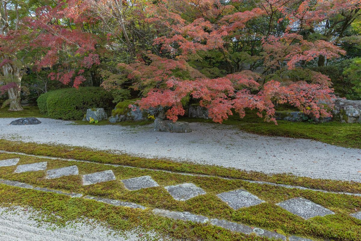 【京都紅葉2023】山内でも早期に色づく紅葉名所「南禅寺天授庵」 | TRILL【トリル】