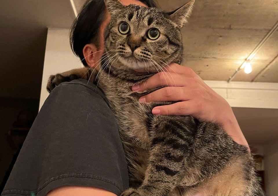 男同士の絆はかたいで。【ぽっちゃり猫、れみのピースフル記。vol.16】 | TRILL【トリル】