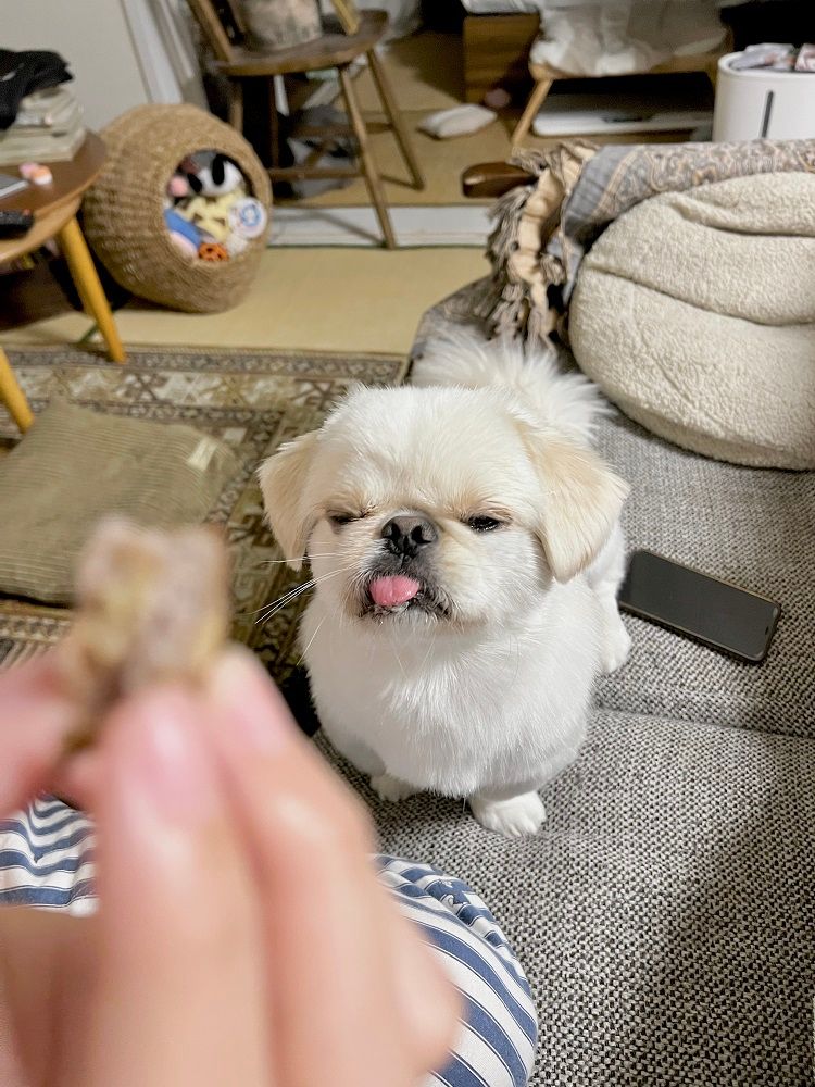 ムーチョの𝑩𝑰𝑮𝑳𝑶𝑽𝑬なまいにち】Vol.18 夜食を食べてると、絶対にバレる | TRILL【トリル】