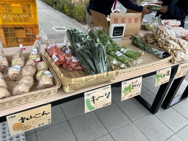 【柏の葉】たまご16個200円！？柏の葉朝市に行ってみた | TRILL【トリル】