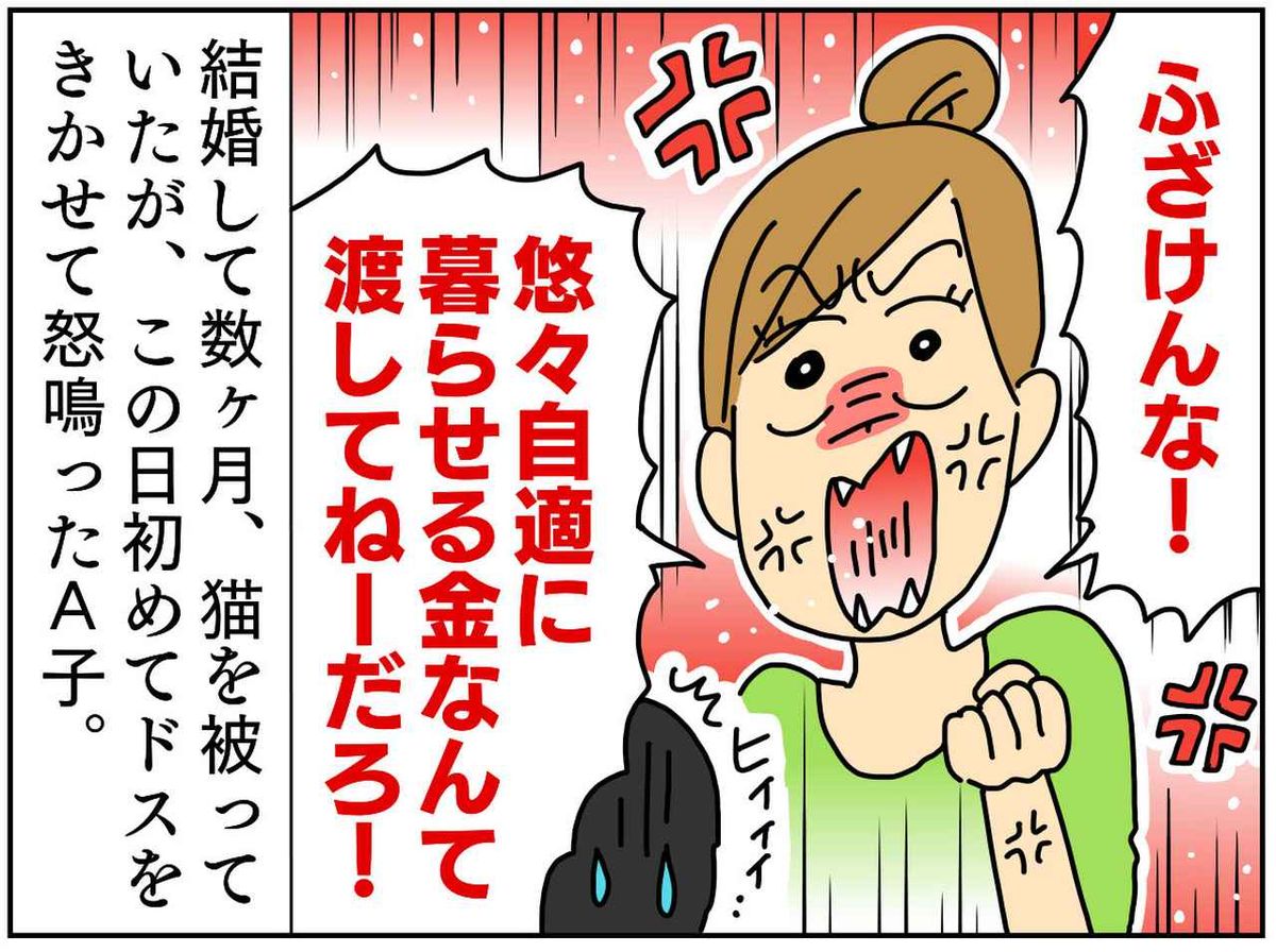 ＜妻、ナイス反撃！＞夫「俺が稼いだ金だぞ！」と【生活費をケチる夫】さらに、専業主婦を見下され？！ | TRILL【トリル】