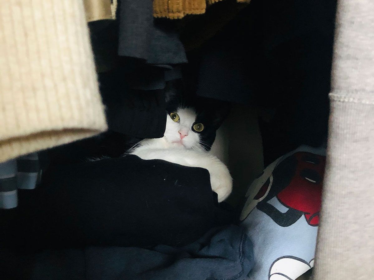 クローゼットでかくれんぼ。【おちゃめMaruのカナダ生活。 vol.36】 | TRILL【トリル】