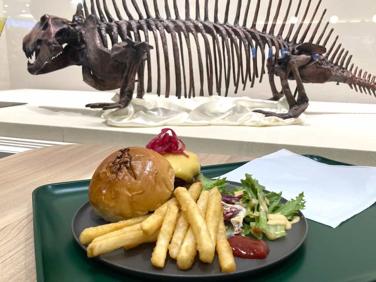 【福井県立恐竜博物館レストラン人気メニューTOP3】予約はできる？混雑状況もチェック！ | TRILL【トリル】