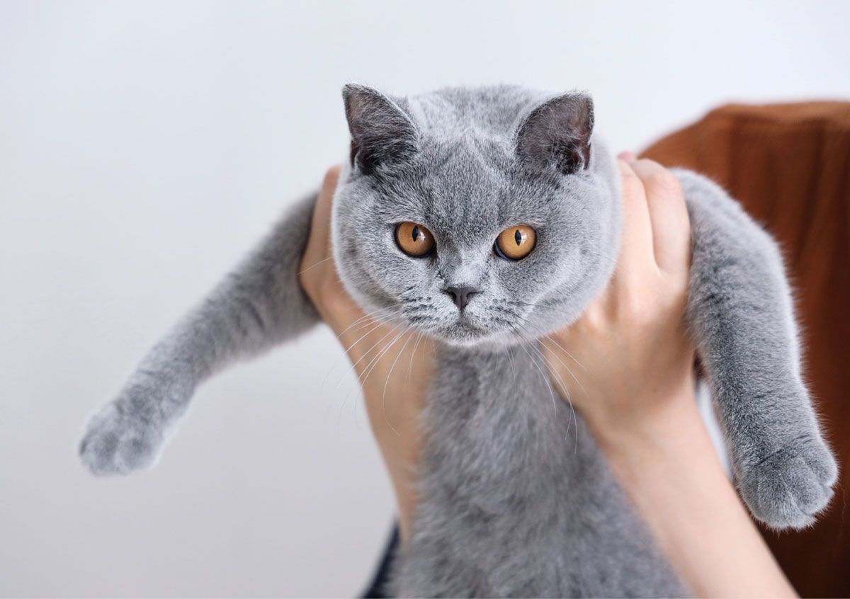 むちむちの赤ちゃん時代。【モチャの愉快なお昼寝日誌。vol.5】 | TRILL【トリル】