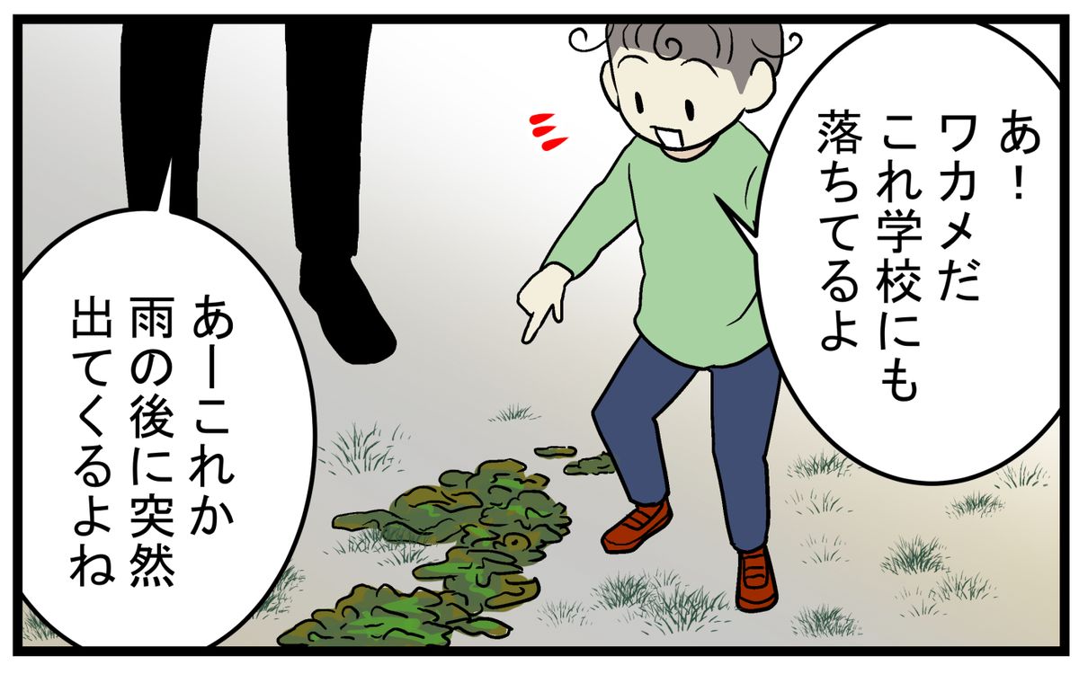 「ワカメ？」「きくらげ？」雨が降ると現れる謎のゼラチン状の物体の正体とは!?【こどもと見つけた小さな発見日誌 Vol.67】 | TRILL【トリル】