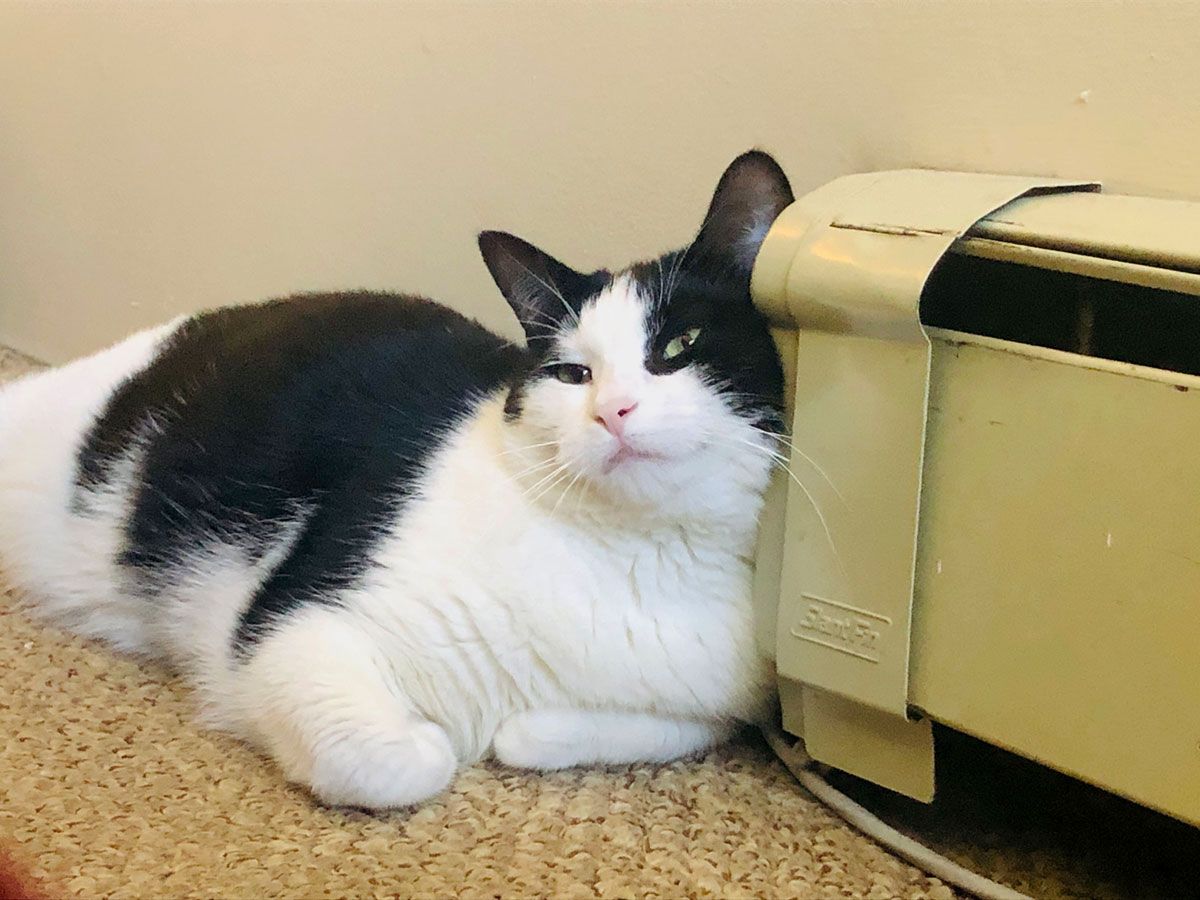 寒い日は動きません。【おちゃめMaruのカナダ生活。 vol.37】 | TRILL【トリル】