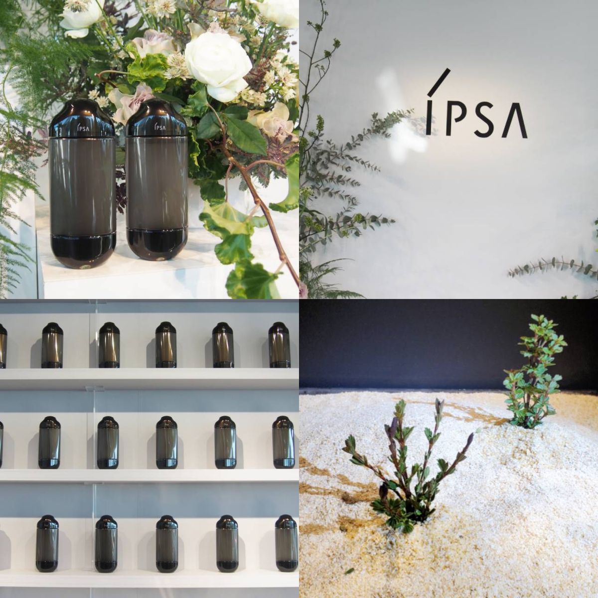 ハリ不足＆乾燥に悩むオトナ肌に。砂漠植物の生命力に着目した【IPSA】新作化粧水の実力は？ | TRILL【トリル】