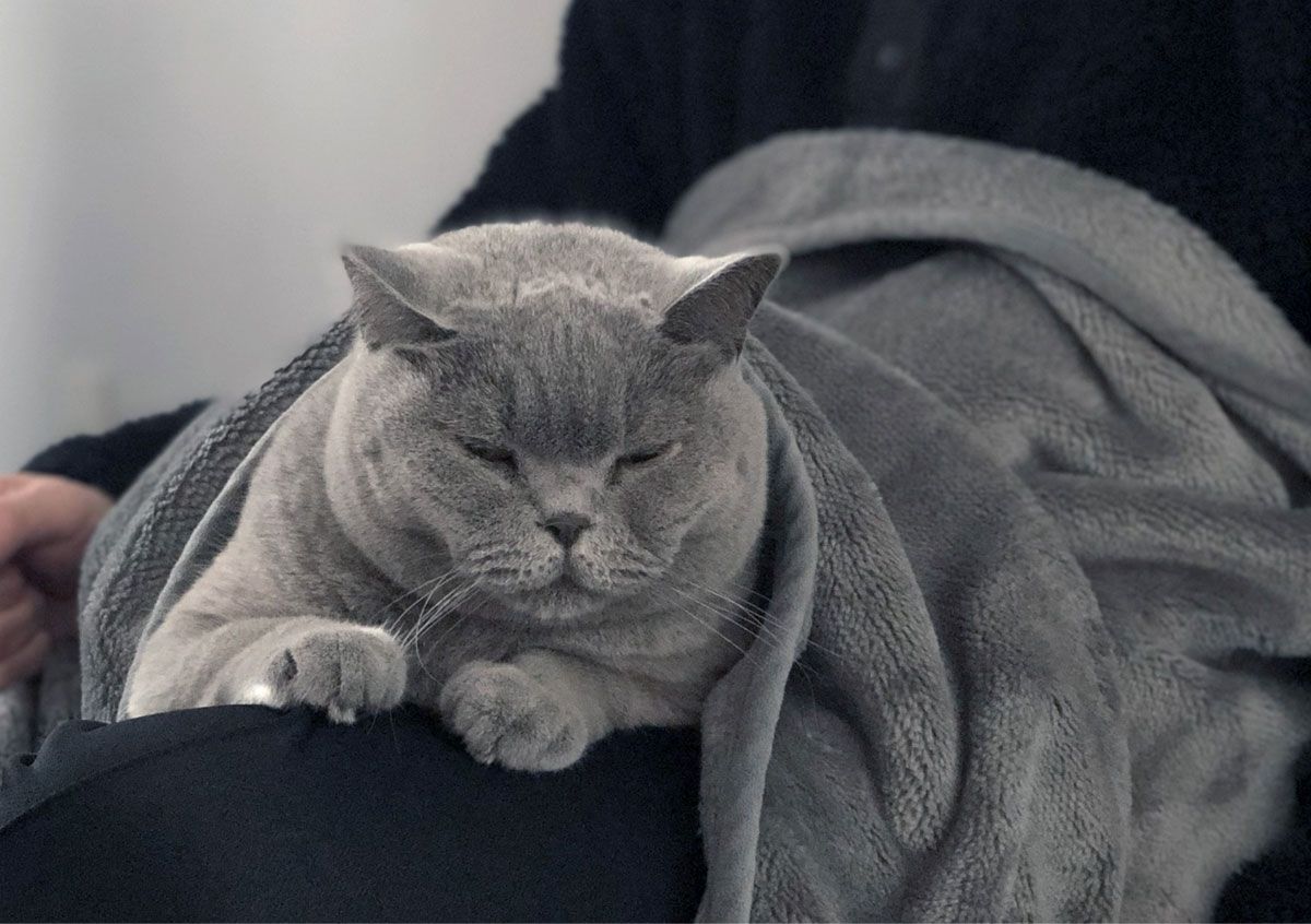 Win-Winな関係。【モチャの愉快なお昼寝日誌。vol.25】 | TRILL【トリル】