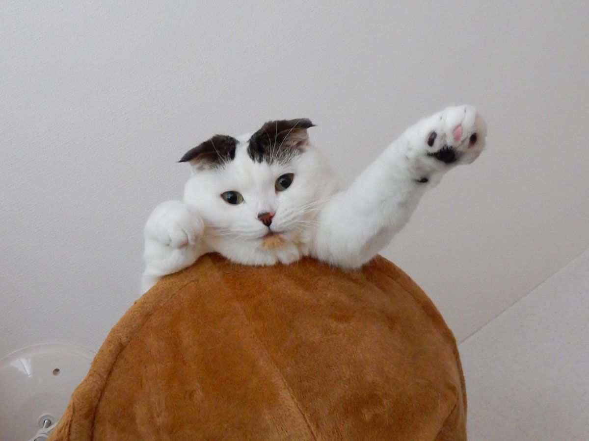 おててコレクション。【いなほ、オレ物語。vol.160】 | TRILL【トリル】