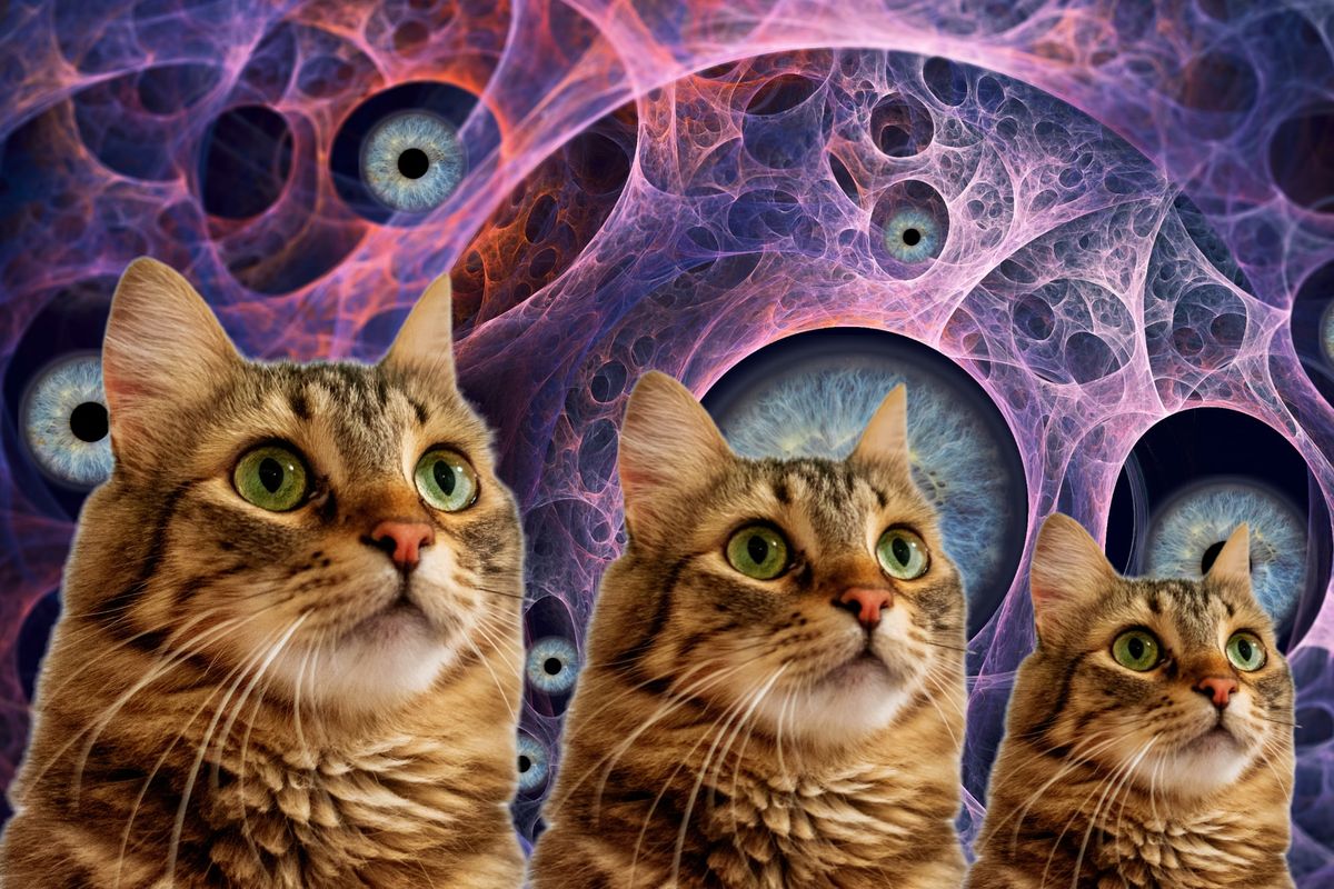 現実世界がバグっていることを感じさせる量子物理学ニューストップ7 | TRILL【トリル】