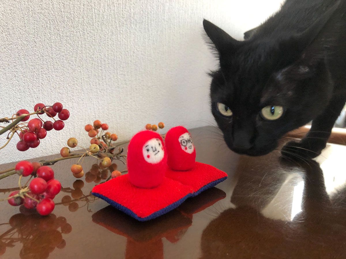 だるまさんが、転んだ！【黒猫ミモザのごきげん成長記録。vol.2】 | TRILL【トリル】