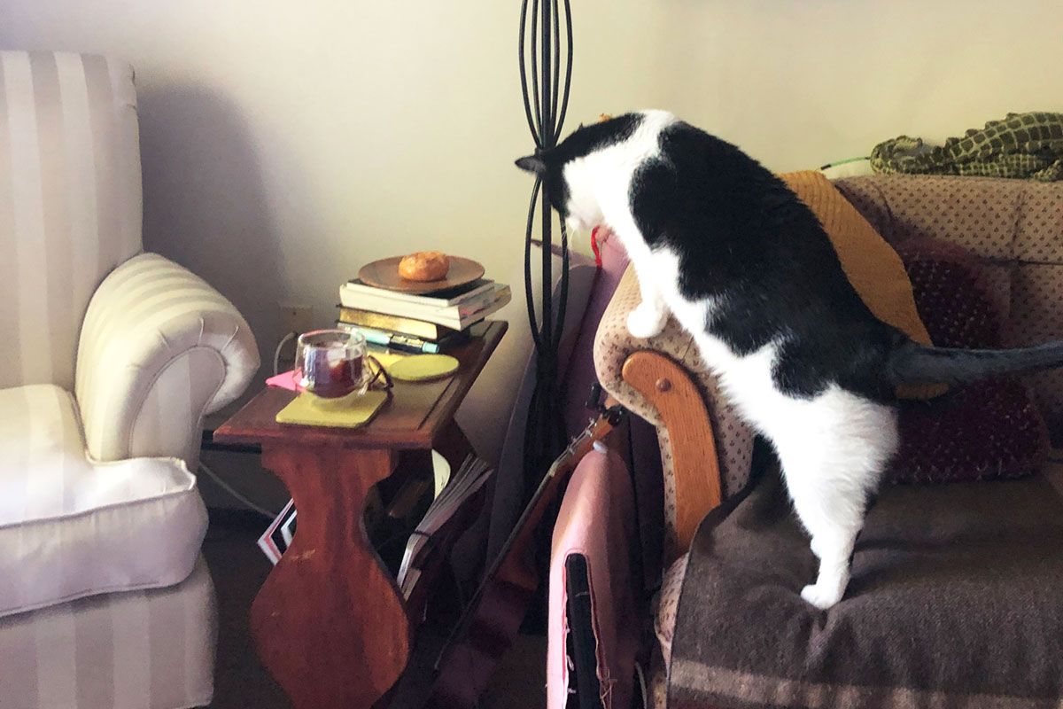 こっそり、食べちゃおうかな。【おちゃめMaruのカナダ生活。 vol.40】 | TRILL【トリル】