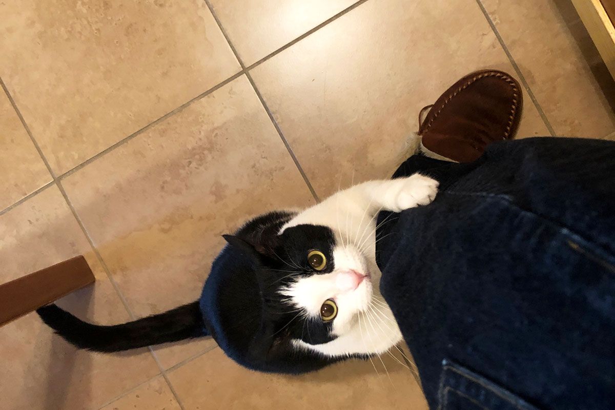 怒られても、やめられないこと。【おちゃめMaruのカナダ生活。 vol.41】 | TRILL【トリル】