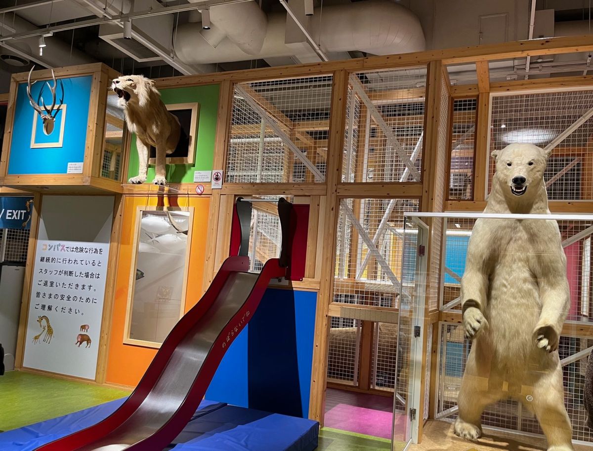 最強の知育スポット！丸1日夢中で遊べて学べる国立科学博物館 | TRILL【トリル】