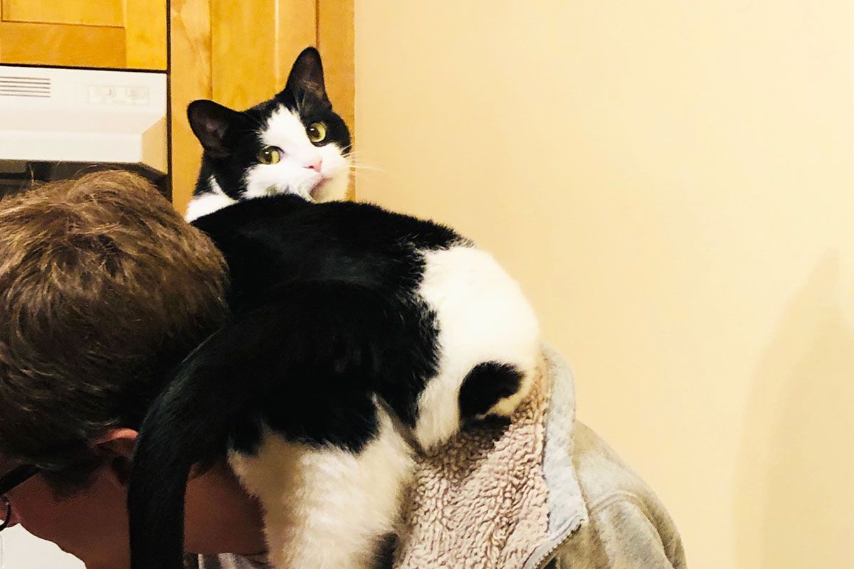 後ろ姿は恥ずかしいわ。【おちゃめMaruのカナダ生活。 vol.42】 | TRILL【トリル】