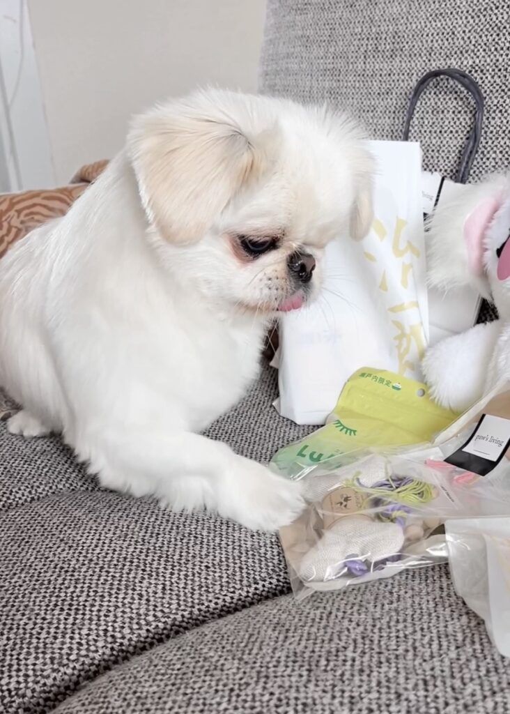 ムーチョの𝑩𝑰𝑮𝑳𝑶𝑽𝑬なまいにち】Vol.26 言いたいことがあると普通に手を使ってくる | TRILL【トリル】