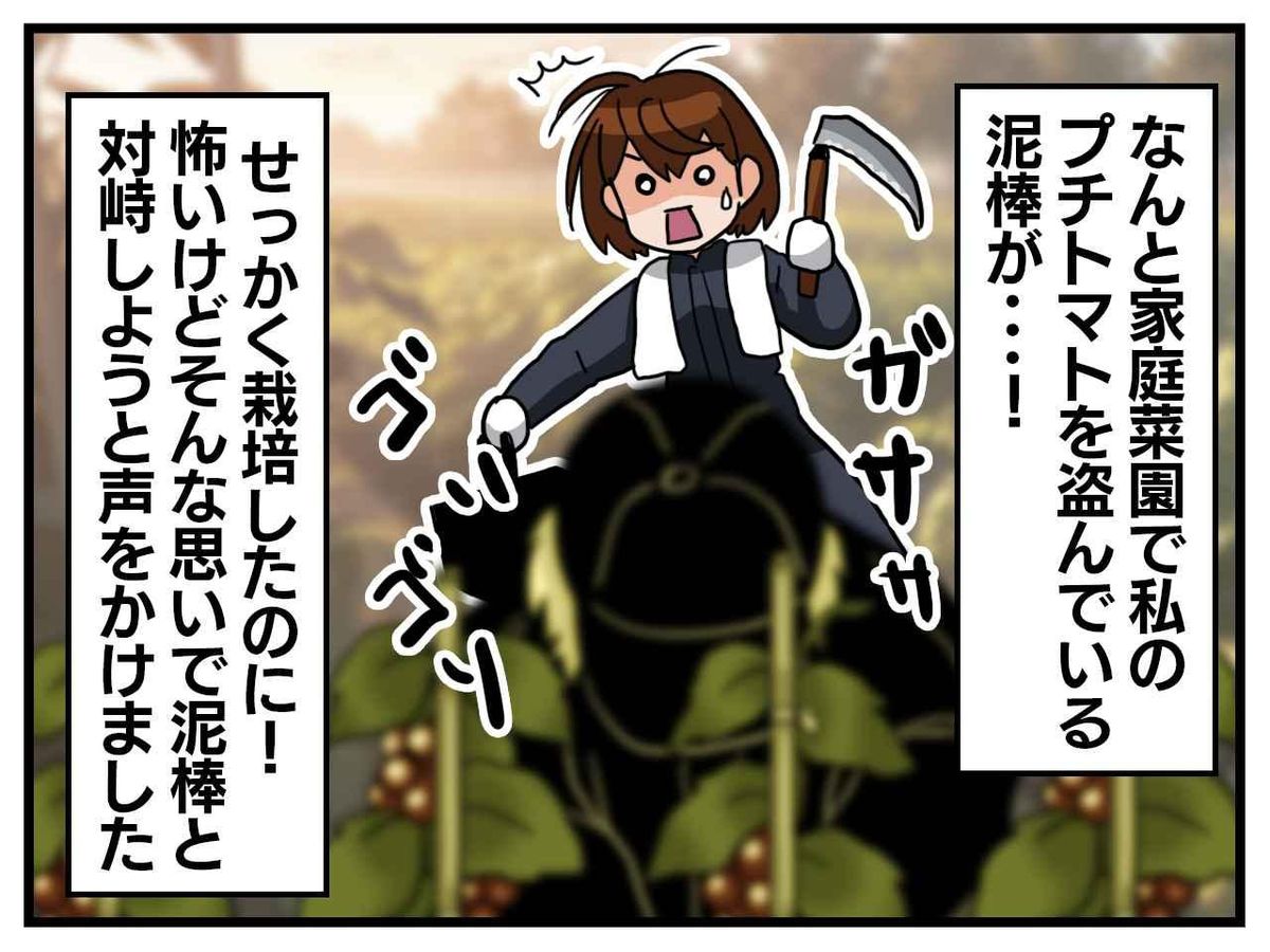 畑で、トマトをもぎ取る泥棒に遭遇！「ど、どうしよう」パニックのあまり → ヤバい事を言ってしまい！？ | TRILL【トリル】