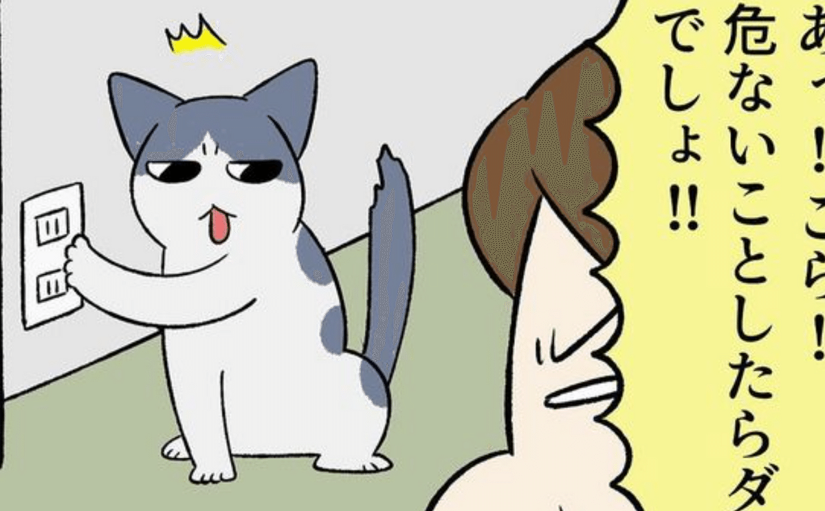 「あっ！こら！ダメでしょ！」飼い主が叱ると…始まった“猫版のPTA” | TRILL【トリル】