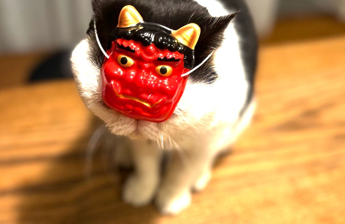 節分は豆よりチュール派。【おちょこ、ぽのぽのだより。vol.139】 | TRILL【トリル】