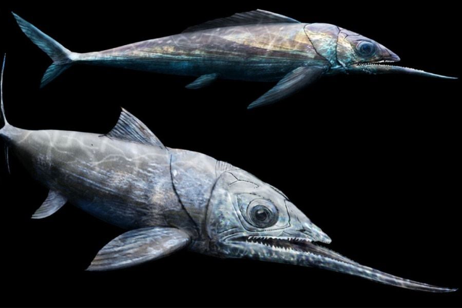 デボン紀の太古の海に「しゃくれを極めし魚」がいた！ | TRILL【トリル】