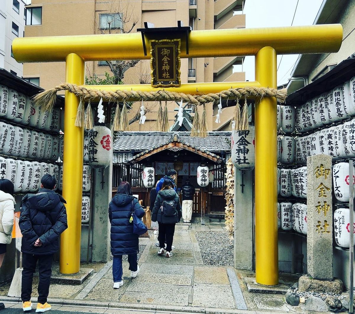 【2024京都金運】一粒万倍日＆新NISAに祈願！輝く黄金鳥居パワースポット「御金神社」 | TRILL【トリル】