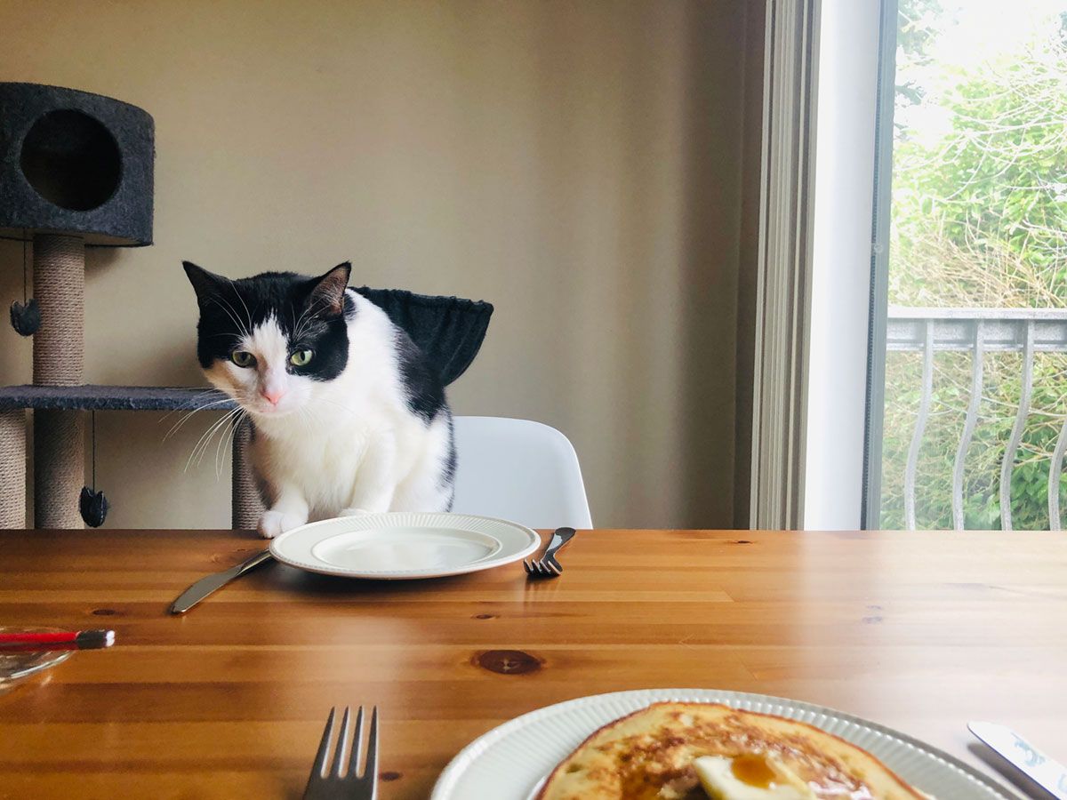 ブランチしませんか？【おちゃめMaruのカナダ生活。 vol.45】 | TRILL【トリル】