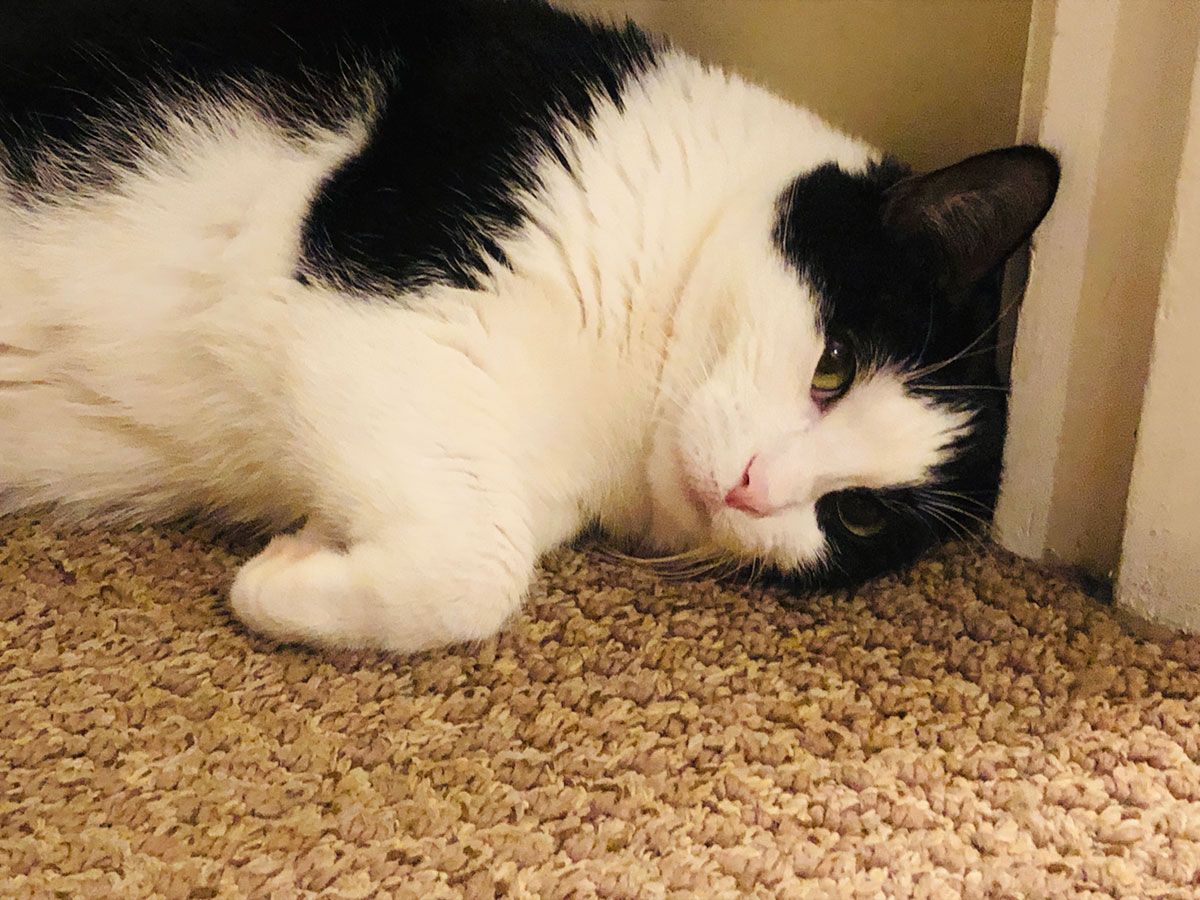 はまり心地。【おちゃめMaruのカナダ生活。 vol.46】 | TRILL【トリル】