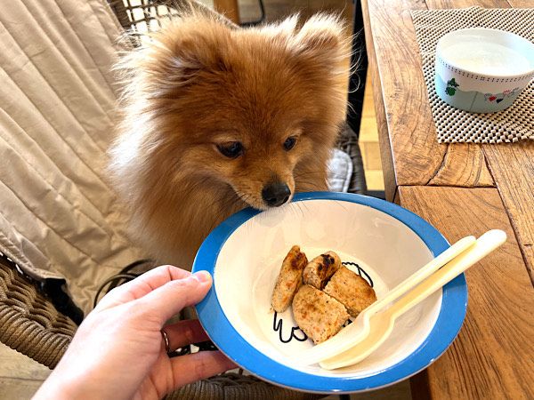 【白岡】店内犬連れOK♪地域に愛されるお店で平日限定ランチ『bistro cafe15（ビストロカフェワンファイブ）』 | TRILL【トリル】